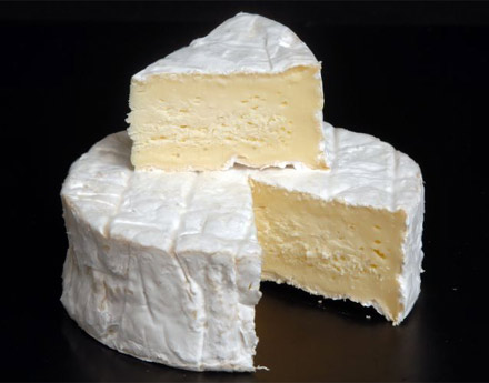 How To Monitor Your Camembert Maturation | Curd Nerd