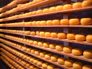 Aging Cheese - How To Age Homemade Cheese | Curd Nerd