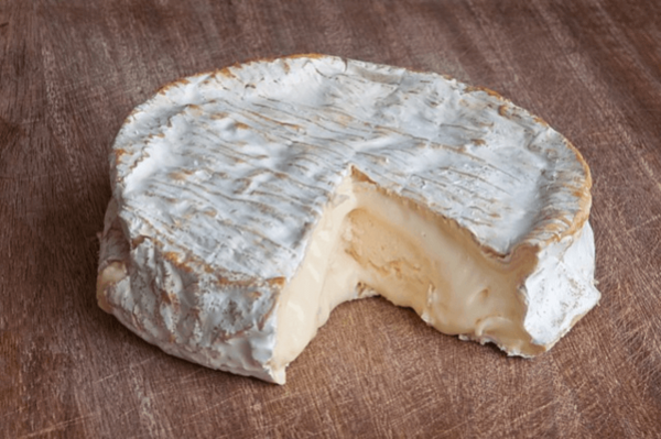 How To Make Camembert Cheese At Home | Curd Nerd